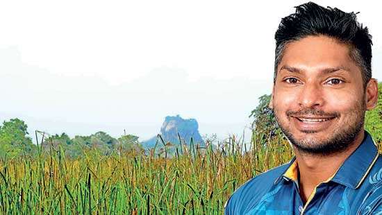 Sanga defends his name in Sigiriya land dispute - News Features | Daily ...