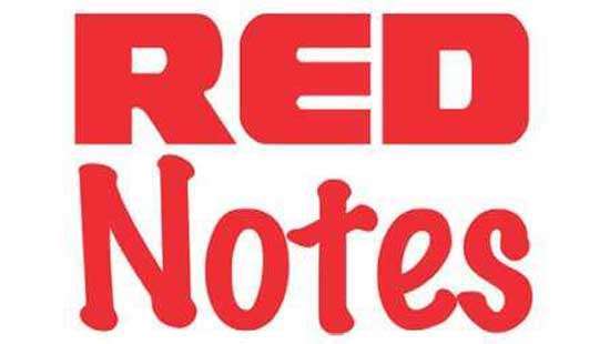 Writing in Times of Crisis: One Hundred Red Notes - Opinion | Daily Mirror