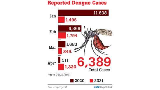 Dengue on the rise again - Front Page | Daily Mirror