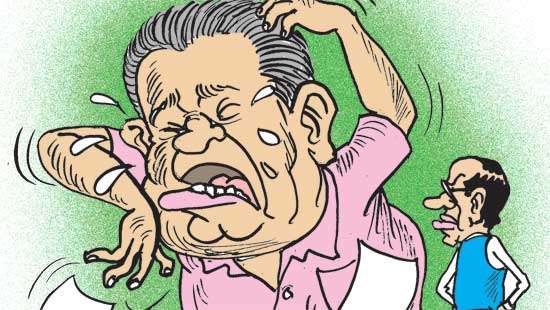 A plaintive cry from a sibling left in the lurch! - Political Gossip ...