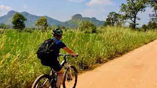 Govt. to promote use of bicycles to reduce air pollution - Latest News ...