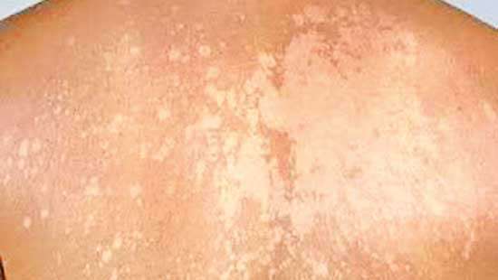 Daily Mirror - Sri Lanka Latest Breaking News and Headlines - Print ...