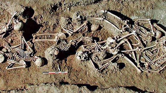 Mannar mass grave report reveals: Bone samples belong to 1499-1719 AD ...