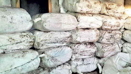 Navy seizes over 14 tonnes of Beedi leaves in 2019 - Front Page | Daily ...