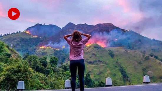 PARADISE ON FIRE - EYE | Daily Mirror