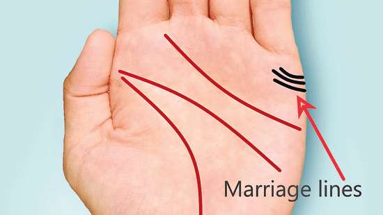 Minor Lines – Lines of Marriage or Affection – Part 3 - Jyotisha News ...