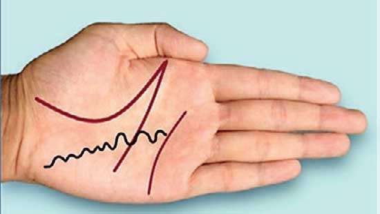 Peculiarities of main lines and their significations –Line of Heart ...