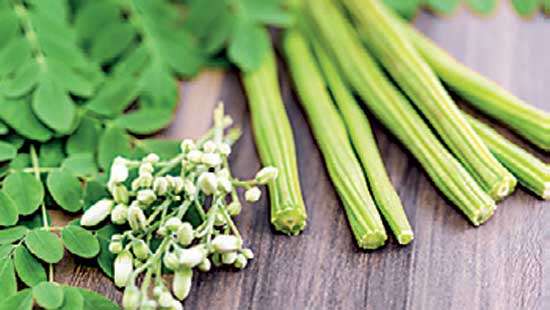 Daily Mirror - Sri Lanka Latest Breaking News and Headlines - Print ...