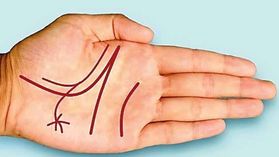 Peculiarities of minor lines and their significations Line of Mars ...