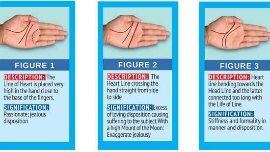Peculiarities of main lines and their significations – Line of Heart ...