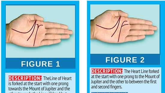 Peculiarities of main lines and their significations –Line of Heart ...