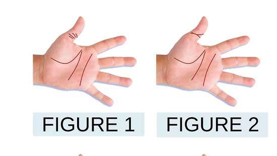 Thumb – What the signs and lines on it say - Jyotisha News | Daily Mirror