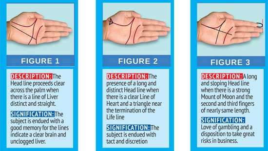 Peculiarities of the Head Line and their significations - Jyotisha News ...