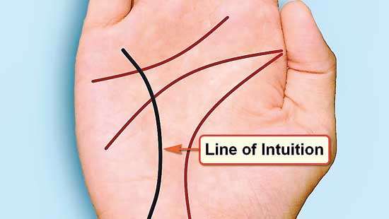 Significations of minor lines - Line of Intuition - Jyotisha News ...