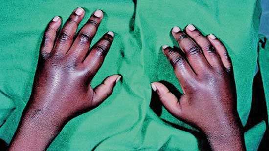 Daily Mirror - Sri Lanka Latest Breaking News and Headlines - Print ...