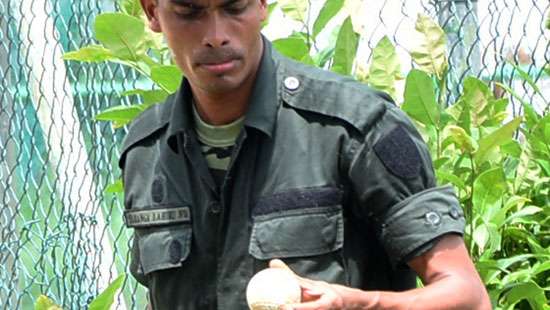 Ball and a bold soldier - Latest News | Daily Mirror