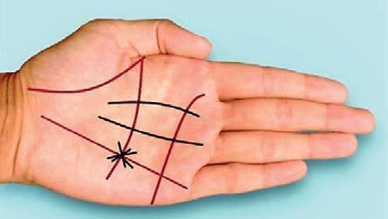 Now let us consider the peculiarities of the Line of Life and their ...