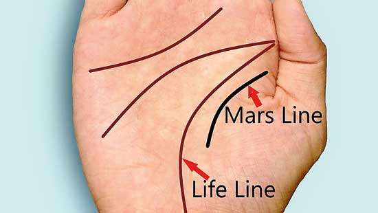 Daily Mirror - Sri Lanka Latest Breaking News and Headlines - Print ...