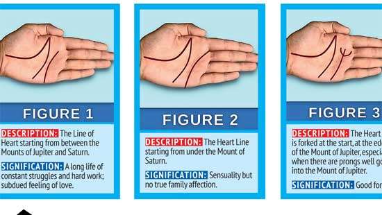 Peculiarities of main lines and their significations – Line of Heart ...