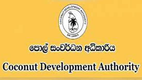 Coconut Development Authority Chairman resigns - Breaking News | Daily ...