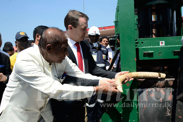 Kenyan Blood Ivory destroyed - Caption Story | Daily Mirror
