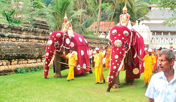 The story of Upasampada - Opinion | Daily Mirror