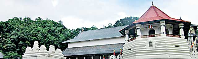 Enter the Religious Police: Mutaween Style - Opinion | Daily Mirror