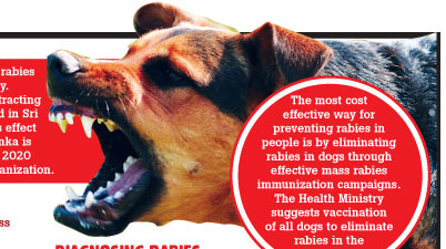 RABIES IN HUMANS DEADLY BUT PREVENTABLE - Medicine | Daily Mirror