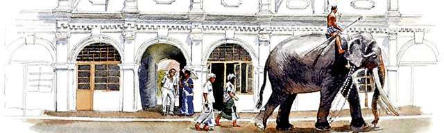 an illustrated memoir at the Wendt - News Features | Daily Mirror