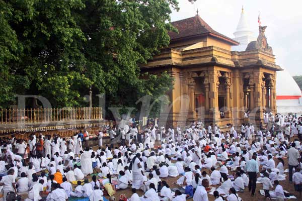 Poson Poya day - Caption Story | Daily Mirror