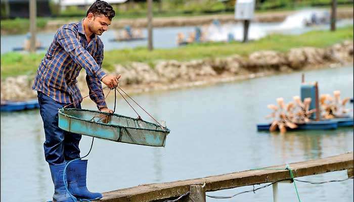 Asia drives global aquatic production to record high, powered by ...