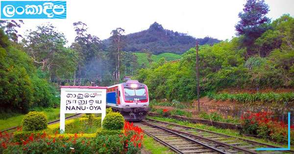 නානුඔය දුම්රිය පොළ අලුත් වෙයි - Lankadeepa Online