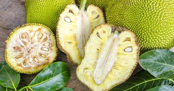 ලෝක කොස් දිනය අදයි - Lankadeepa Online