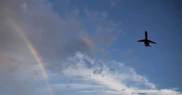 කුරුල්ලෝ ගුවන් යානයක් බිම දමති - Lankadeepa Online