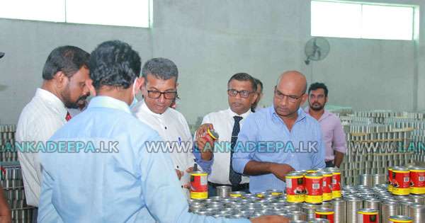 ලංකාවේ හැදූ සැමන් ප්‍රථම වරට රට යවයි - Lankadeepa Online