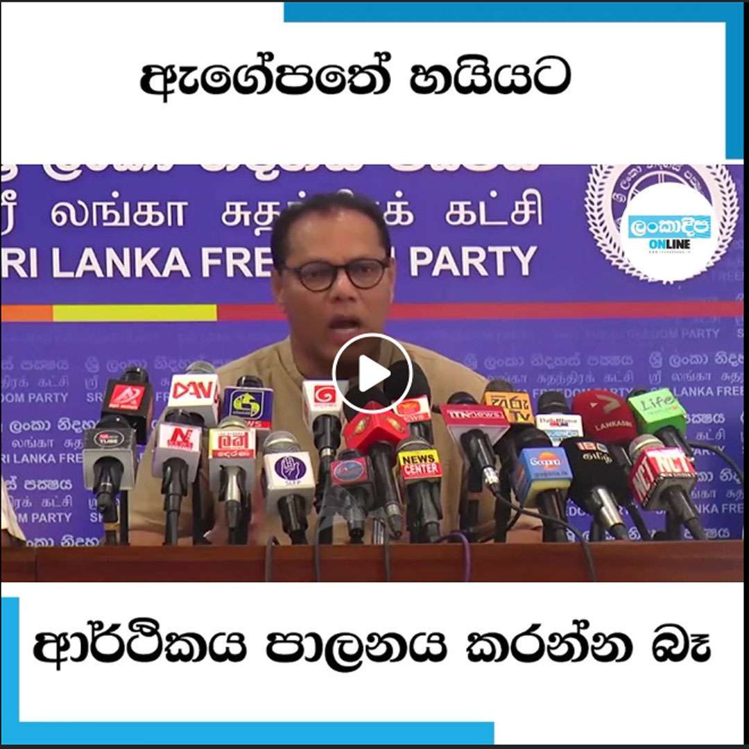 ඇඟේ පතේ හයියට ආර්ථිකේ පාලනය කරන්න බෑ Lankadeepa Online