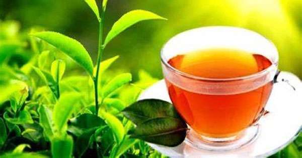 තේ පාලන පනත සංශෝධනයට - Lankadeepa Online