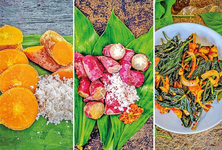 Sirikatha.lk: Where Women's Stories Take Center Stage in Sri Lanka