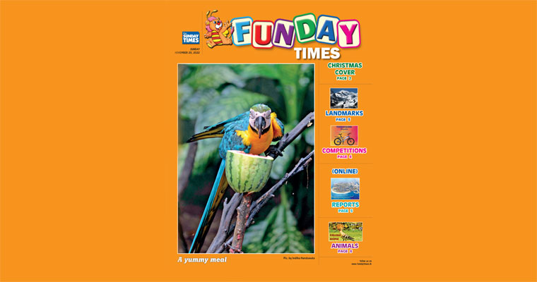 Funday Times | Sundaytimes.lk